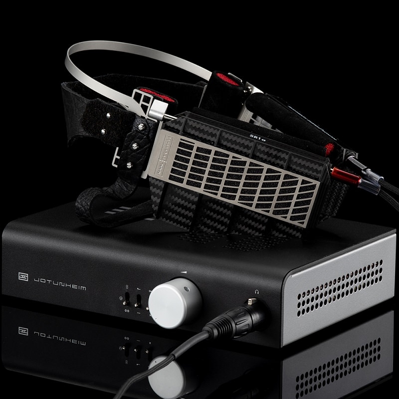 Schiit Audio Jotunheim R Desktop Direct Drive Amplifier for RAAL ...